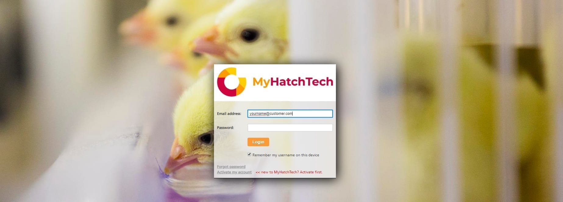 My HatchTech – our new digital customer-service platform - HatchTech